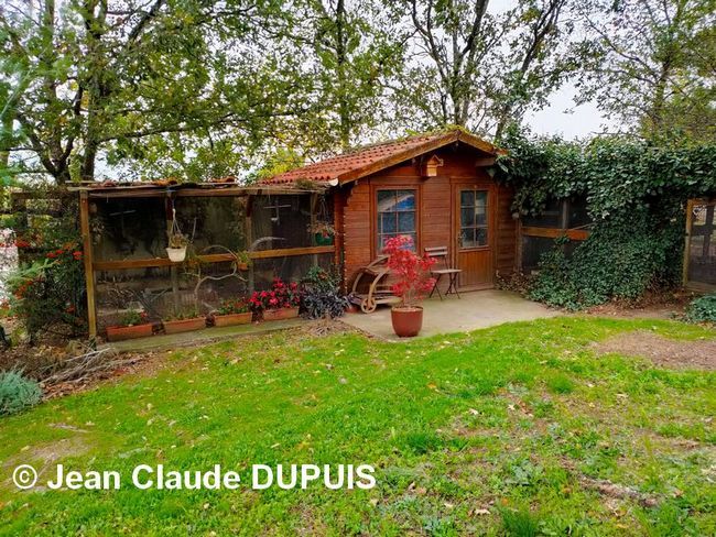 LE ROSELIN DU MEXIQUE - L'Oisillon - La Boutique Oiseaux