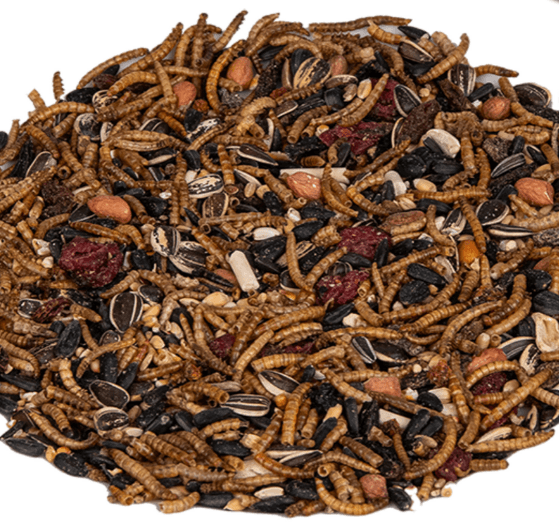 Mix Insecte & Fruit 850g